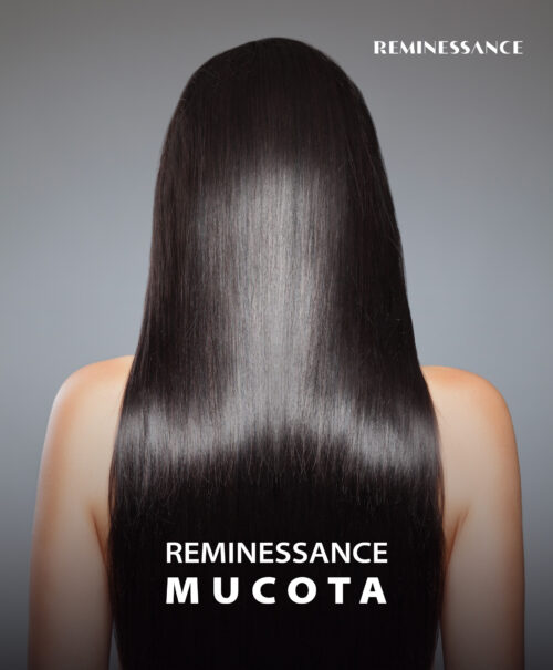 毛髮护理 - WT-METHODE